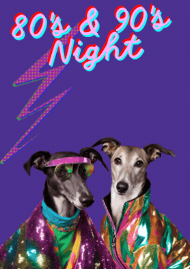 Go Greyhound Racing Galway | Galway Greyhound Stadium