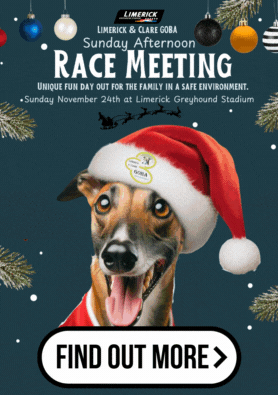 Go Greyhound Racing Limerick | Limerick Greyhound Stadium