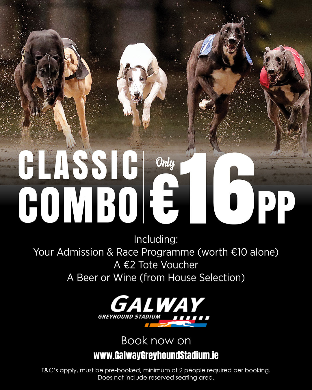 Greyhound Racing Admission Bookings in Galway Greyhound Stadium