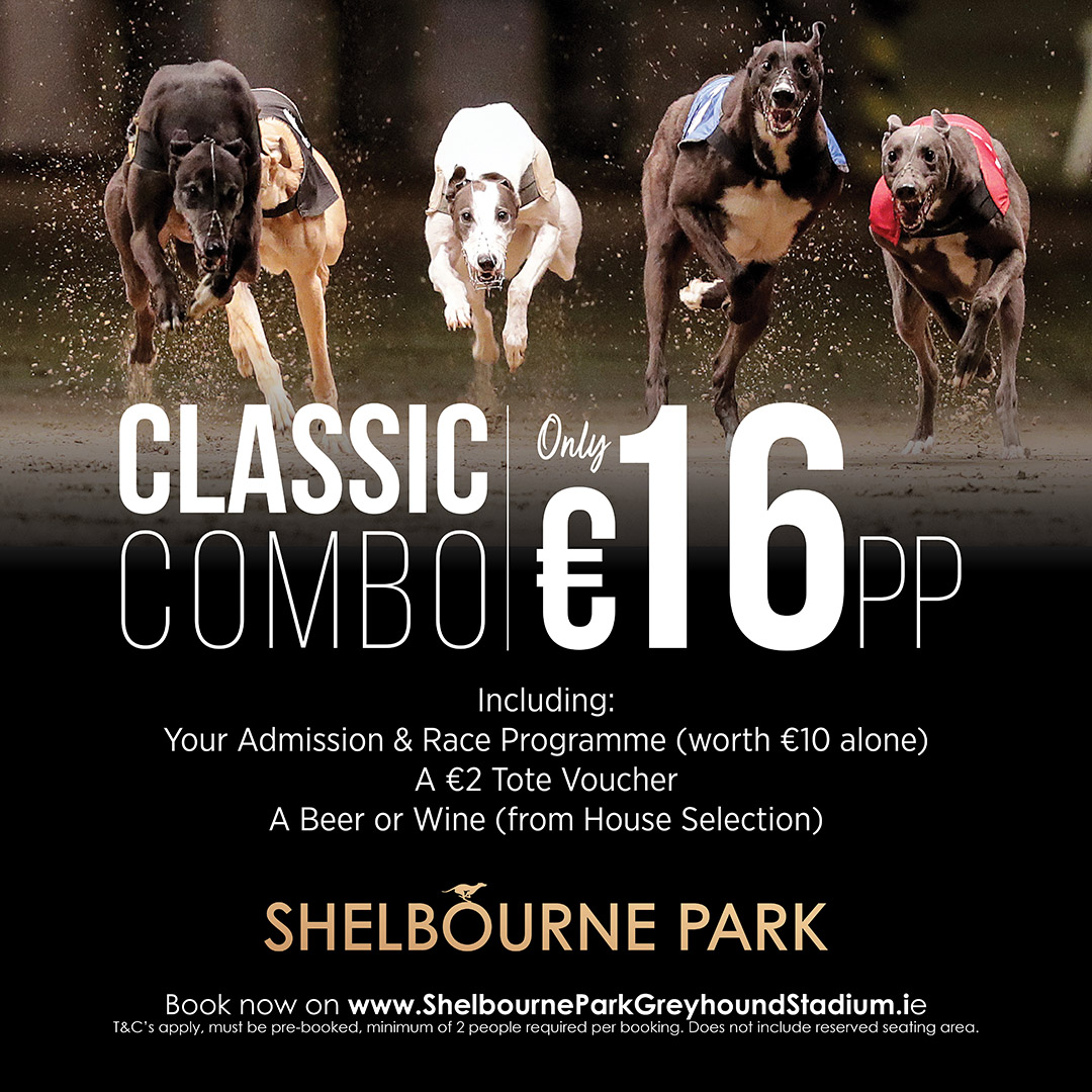 Greyhound Racing Admission Bookings In Dublin's Shelbourne Park
